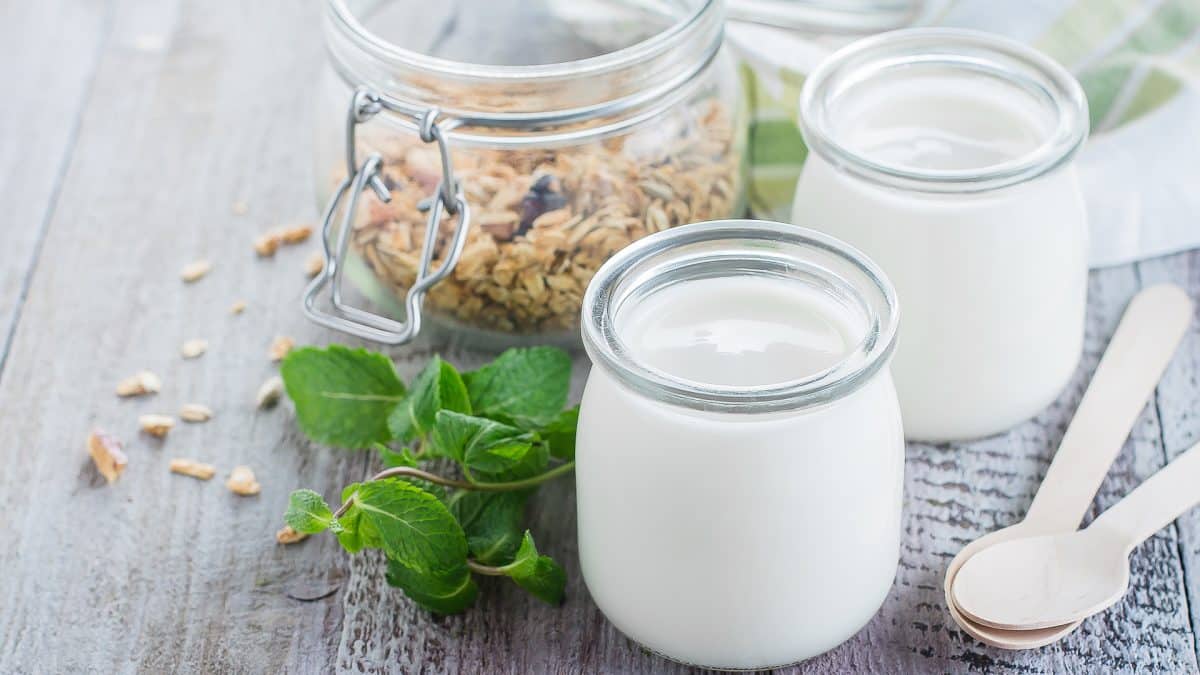 Retour en grâce des yaourts au lait entier - Aliments - Cerin