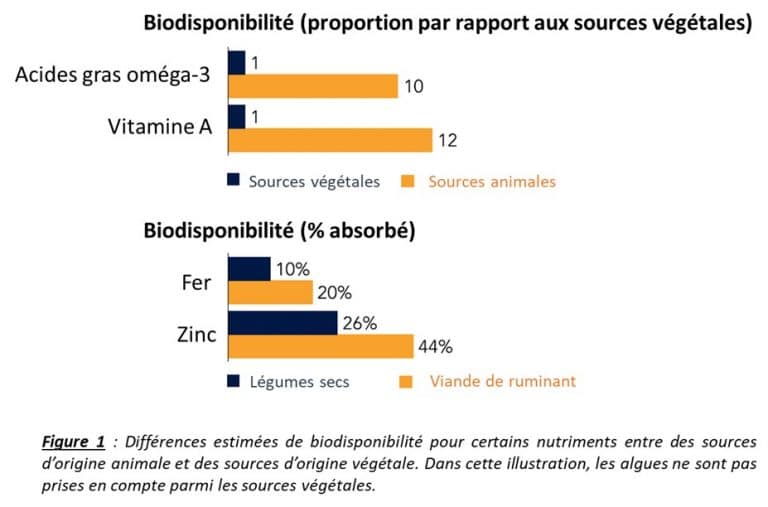 Le rôle des aliments d'origine animale : aspects nutritionnels et ...